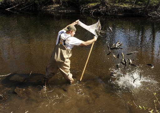 CT fish stocking this fall includes trout, salmon and catfish