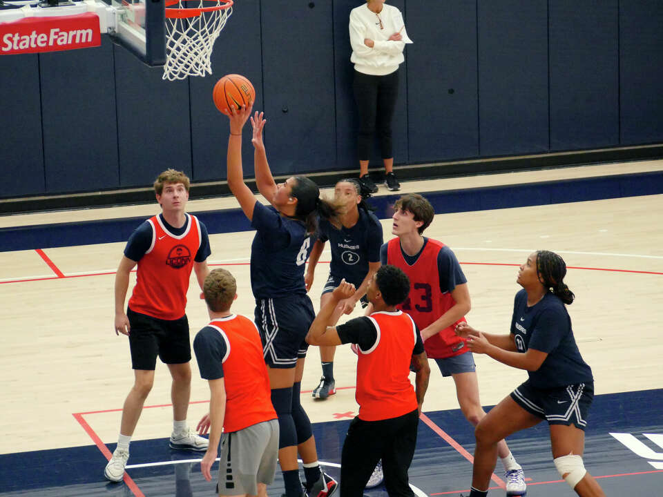 Jana El Alfy set to make debut for UConn women's basketball team
