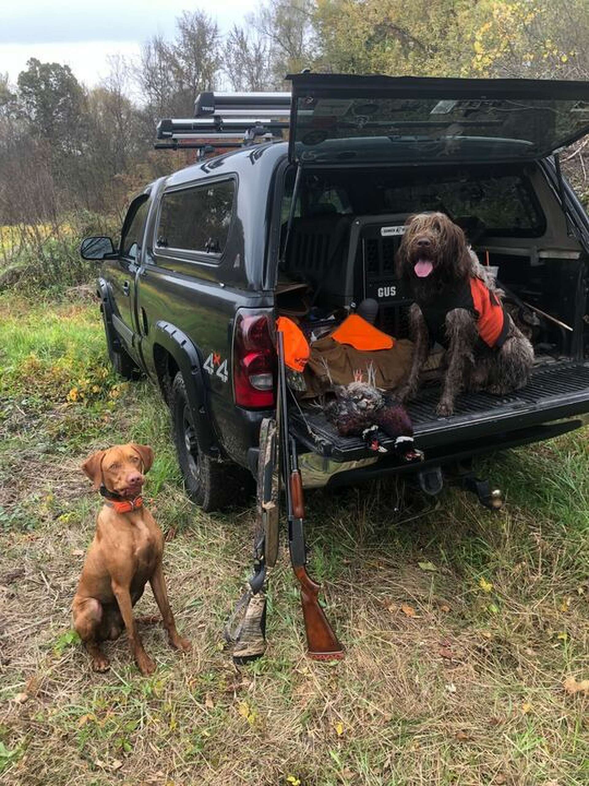 Turkey, pheasant, small game hunting seasons in CT begin this month