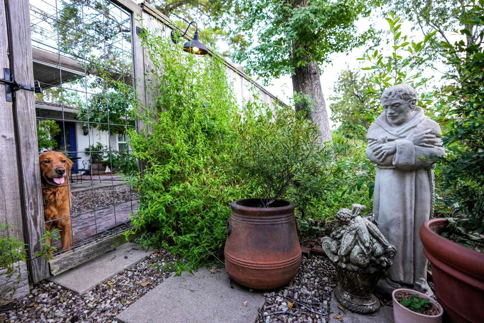 Time for fall yard chores? Go native, and let your garden do the work