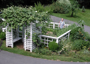 10 steps to a successful first vegetable garden