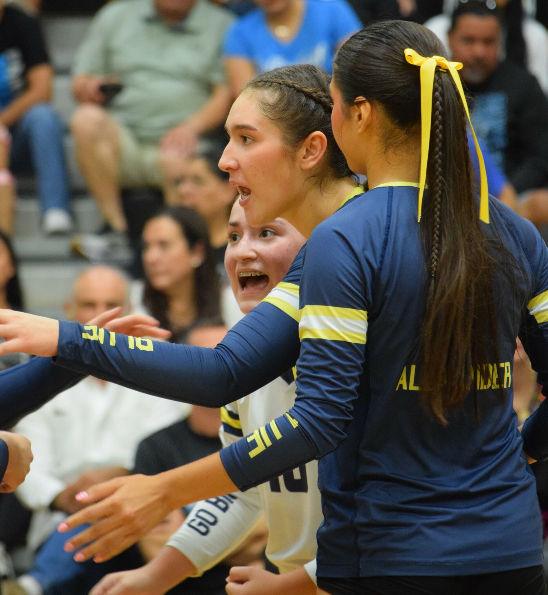 LMT Playoff Volleyball Power Rankings