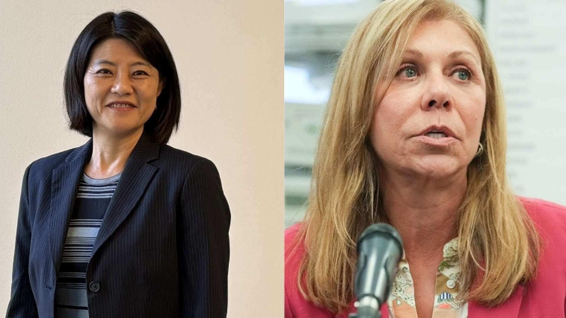 Senate District 17: Joan Huffman or Kathy Cheng