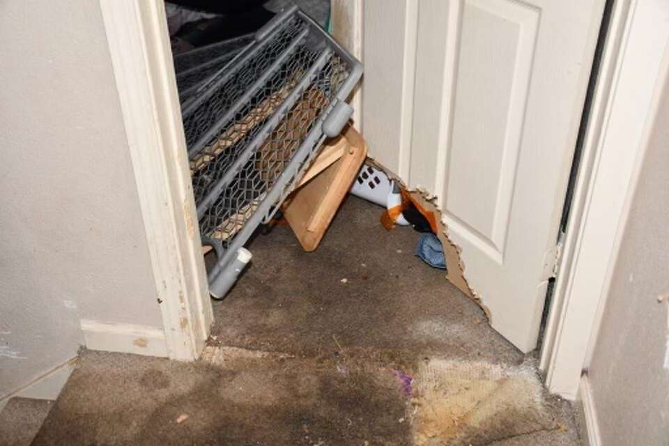 New details emerge in brutal San Antonio dog attack on a toddler