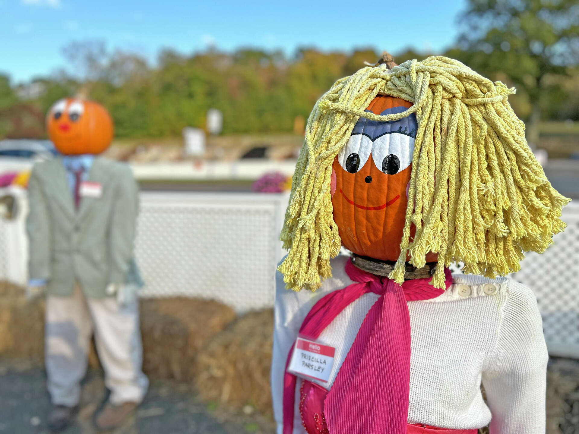 Pumpkintown, which supports breast cancer center, open in East Hampton