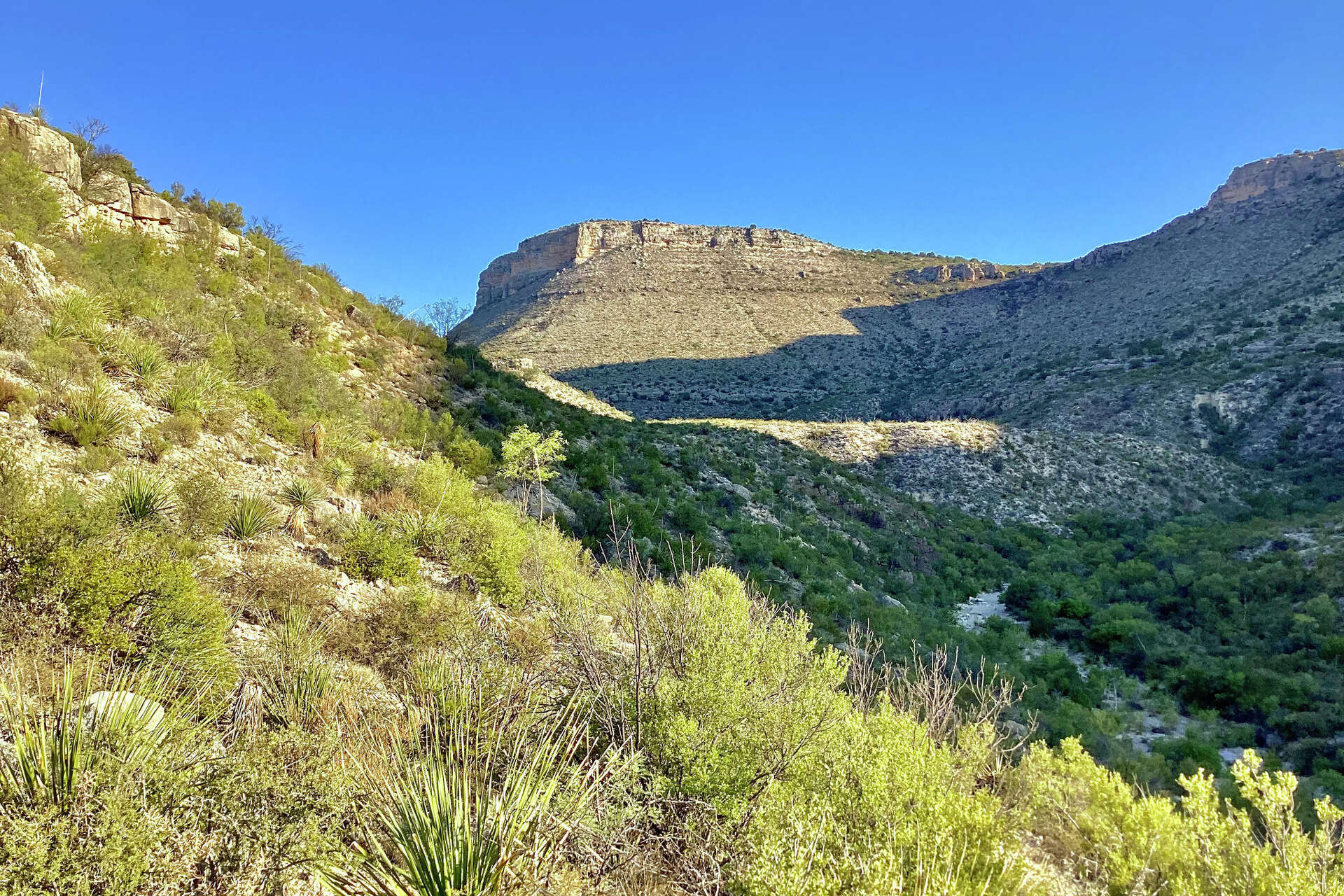 Top Real Estate Stories | mySanAntonio.com | mySA