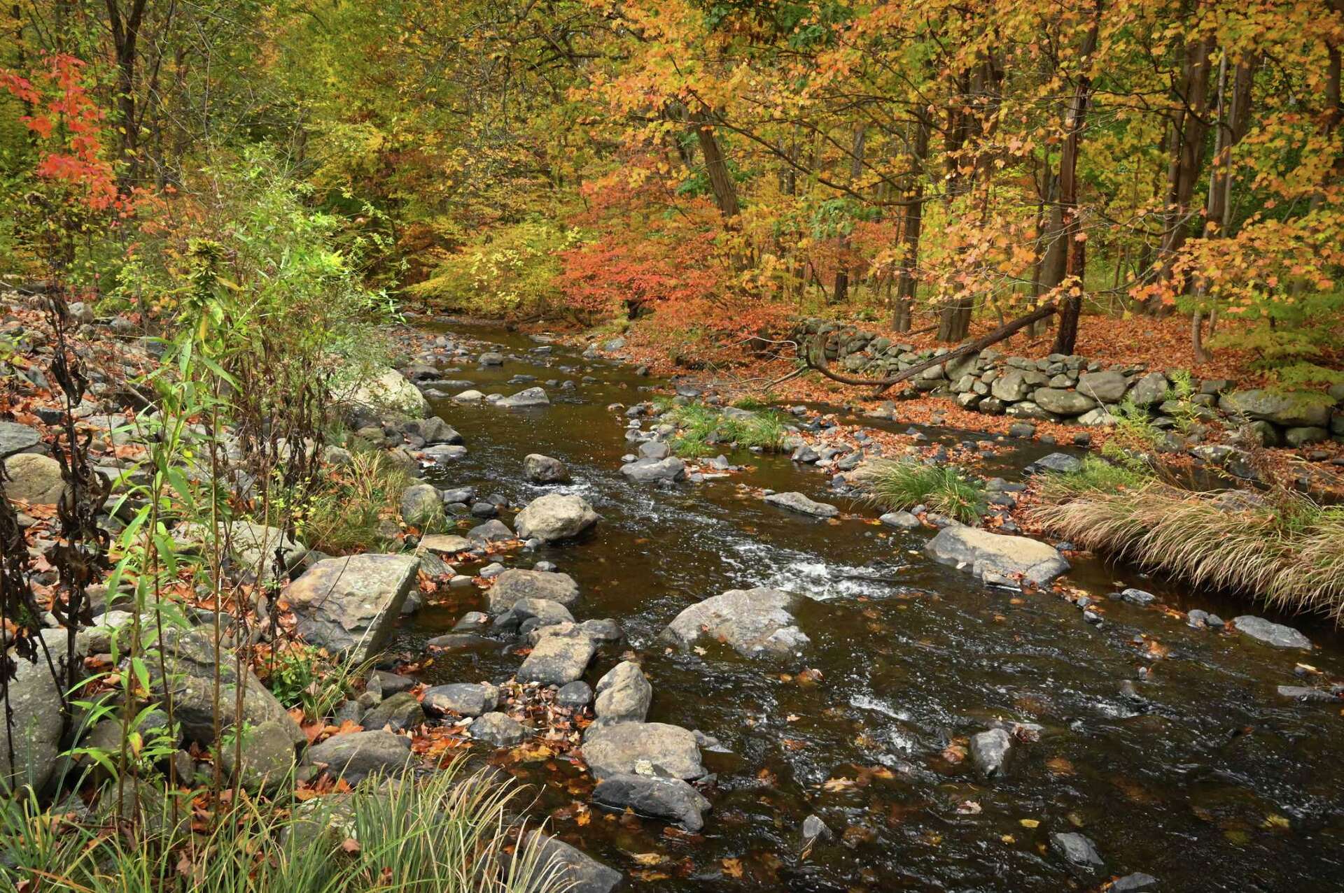 Here’s when fall foliage will reach peak color in upstate New York