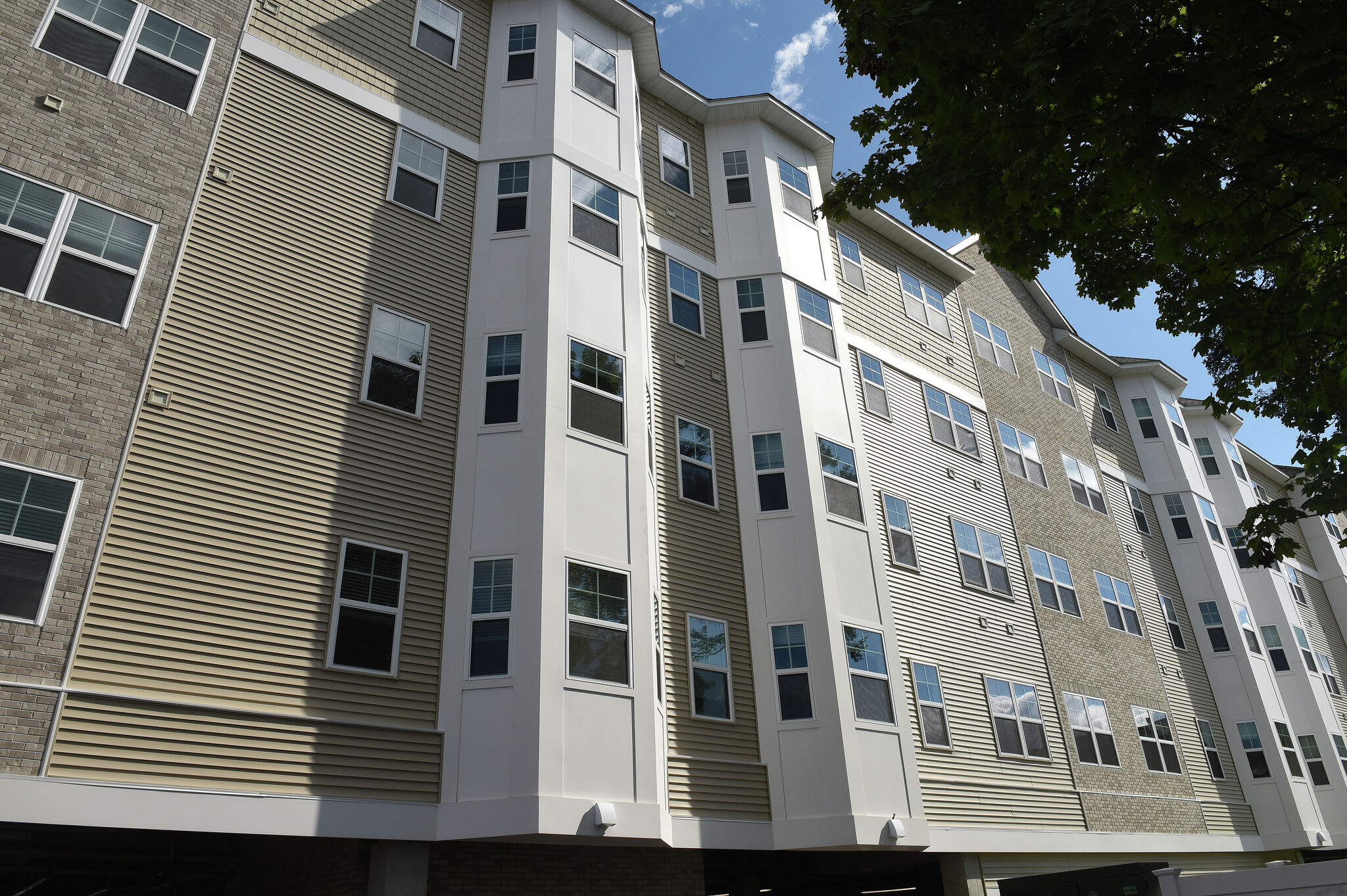 Former TV news reporter Branford’s Erin Logan doesn’t sugarcoat facts ...