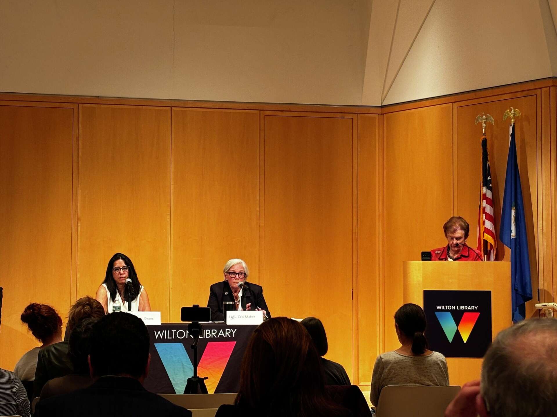 CT 26th Senate race: What to know about Ceci Maher, Kami Evans' issues