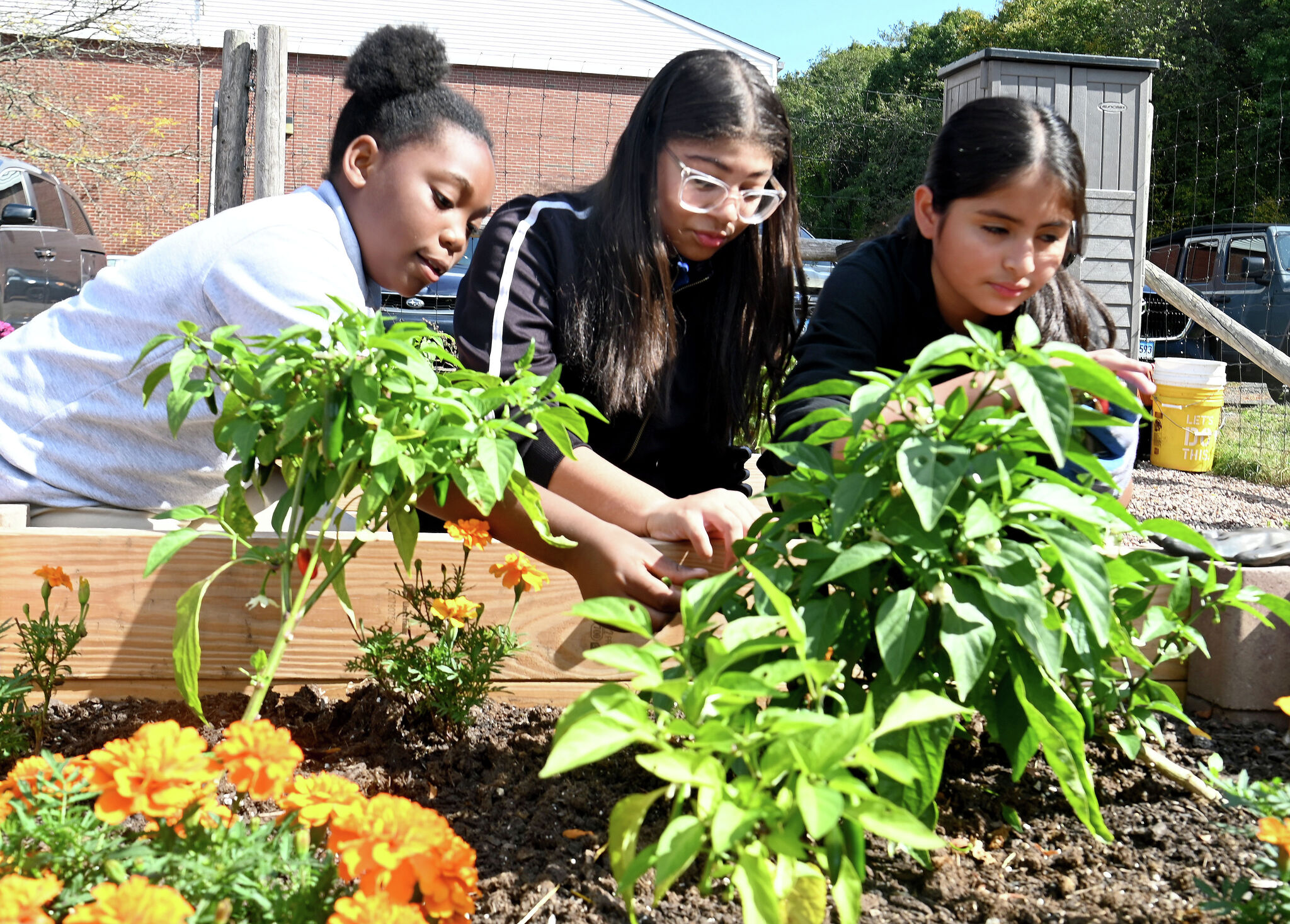 East Hartford students enjoy new garden for CT Grown For CT Kids Week