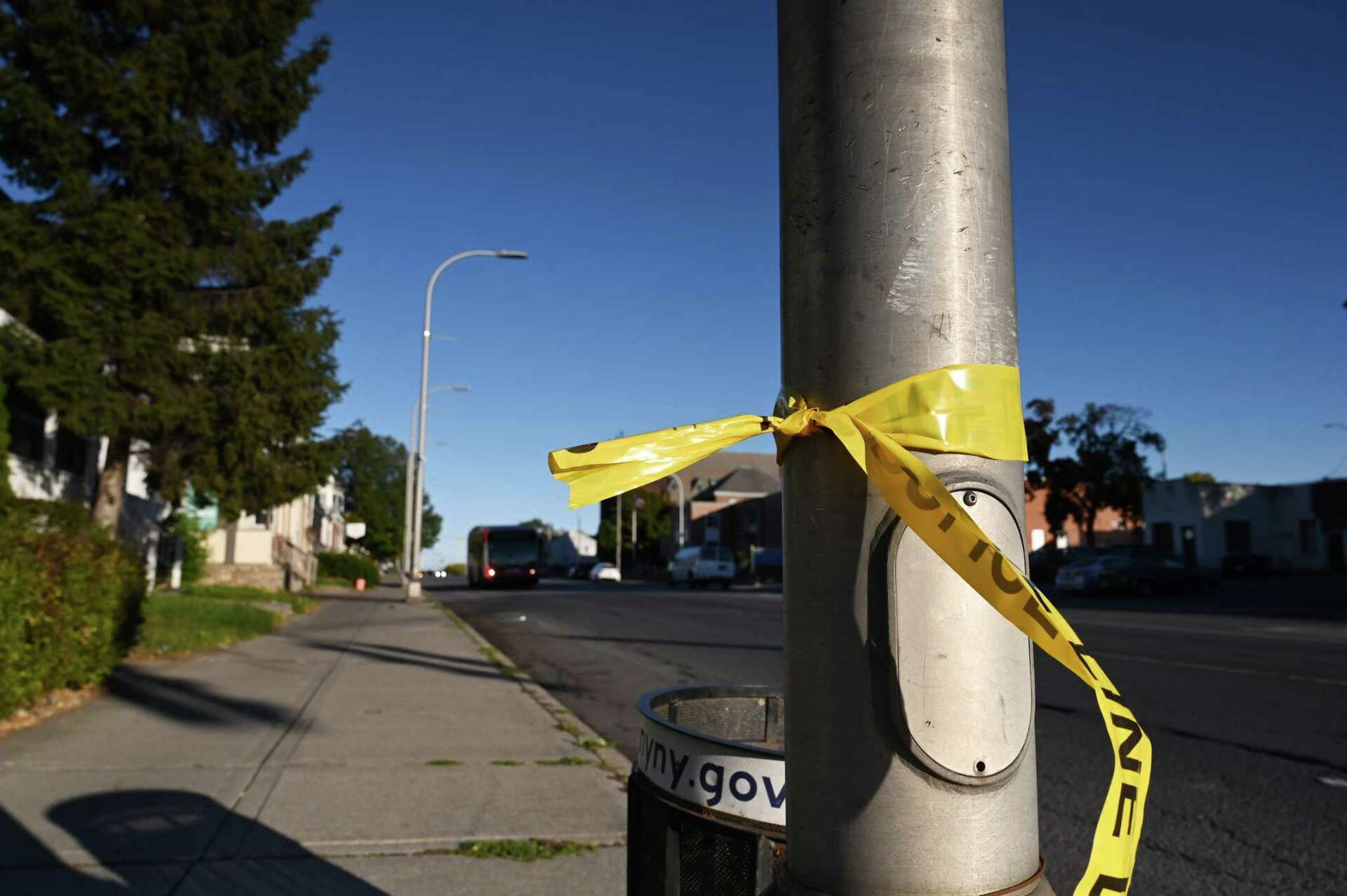 Man killed by dogs in Albany