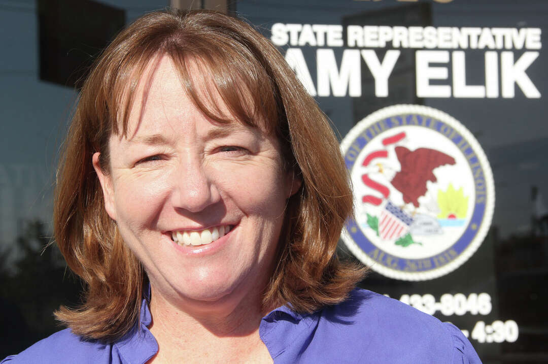 Republican Amy Elik faces challenge in divided 111th District race