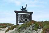 SF Zoo described as ‘unsafe for visitors and animals’ in city report