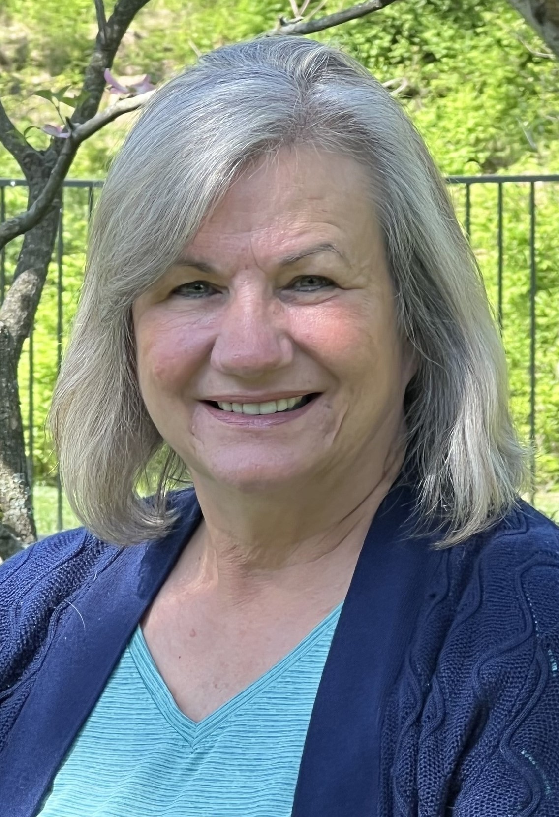 Candidates seek Madison County Board seat after Skip Schmidt's passing