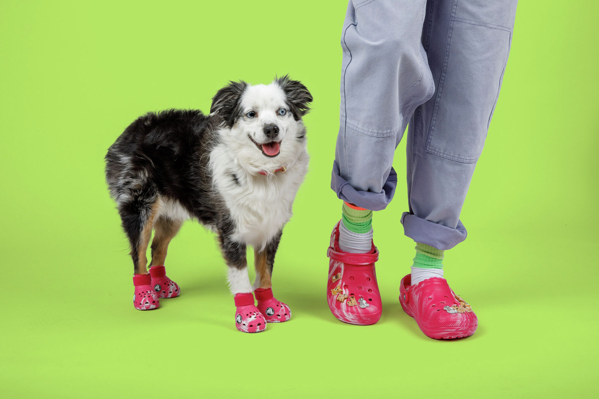 Crocs and BARK team up to release Pet Crocs for furry friends