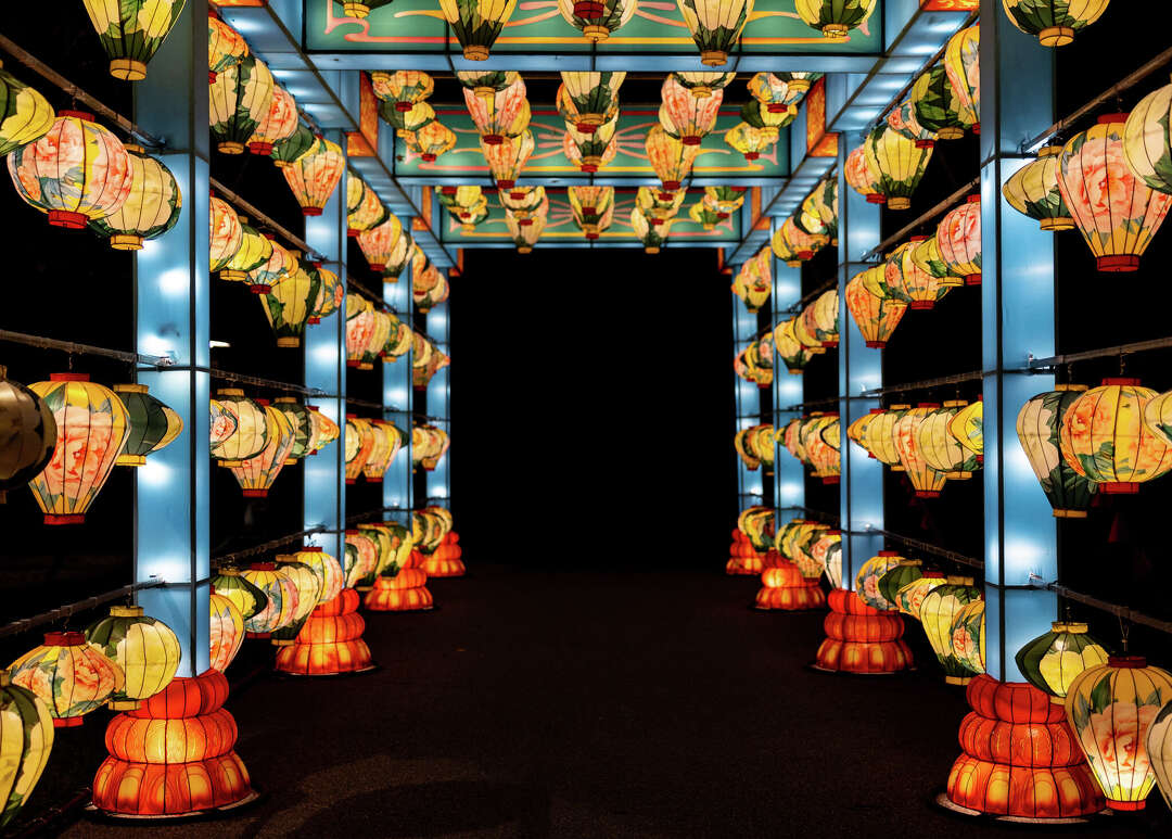 'Radiant Nature' light display opens at Houston Botanic Garden