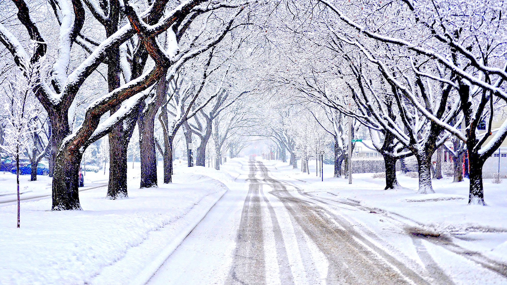 Jacksonville could see first snow of 2025 with Arctic blast