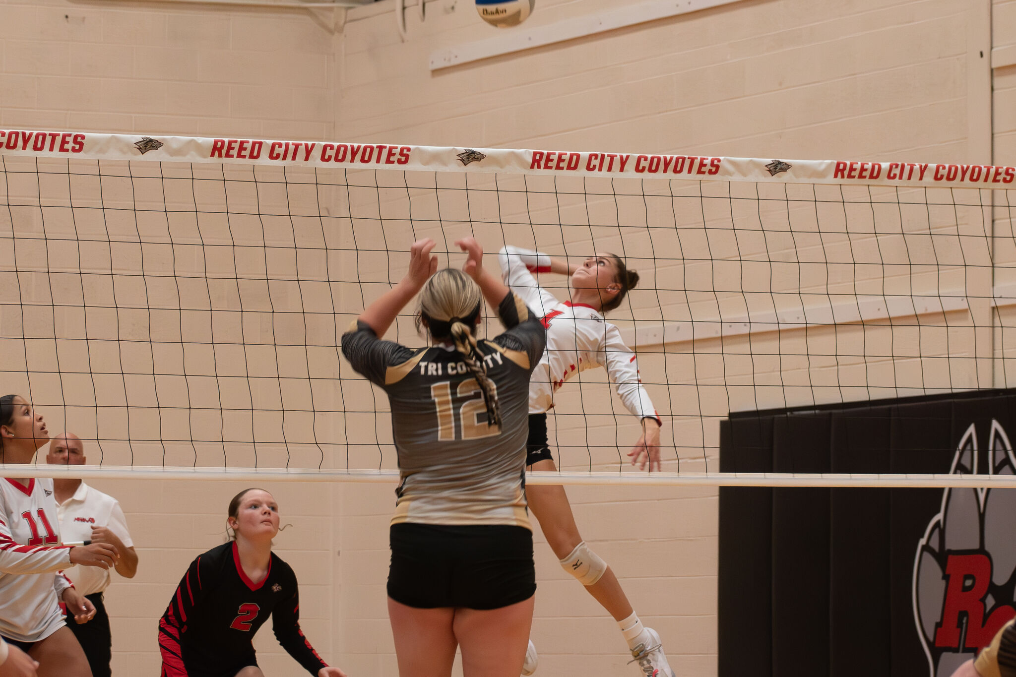 Reed City volleyball clinches share of CSAA title