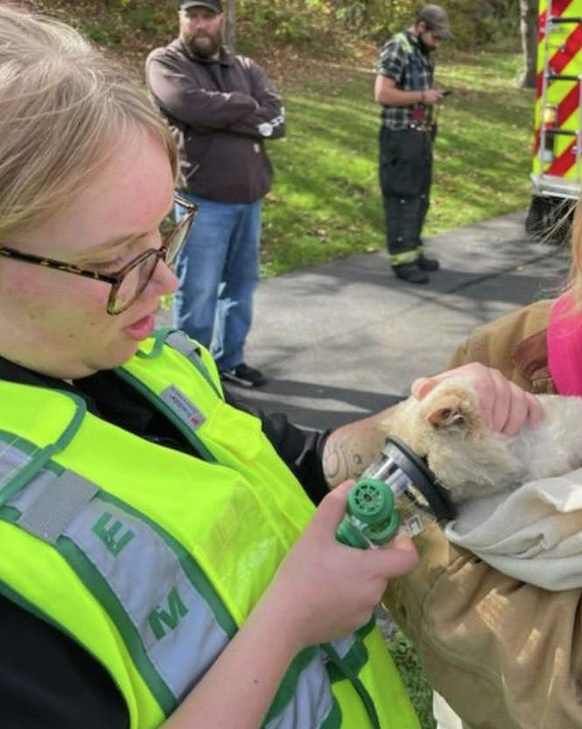 EMTs save cat using pet oxygen mask following Ravena fire