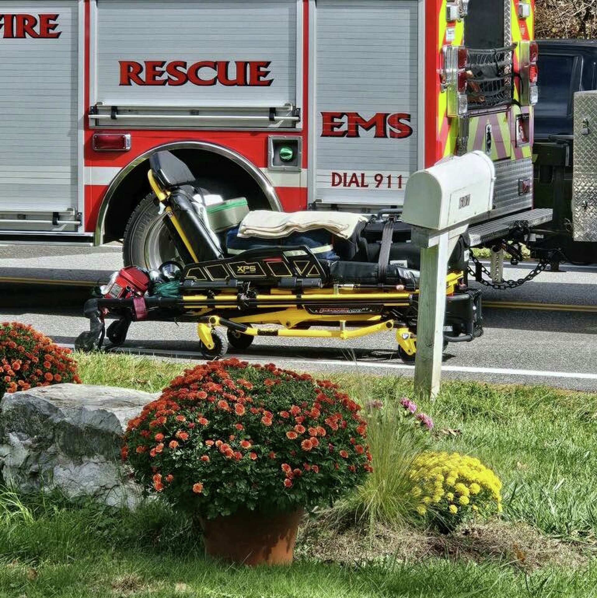 EMTs save cat using pet oxygen mask following Ravena fire