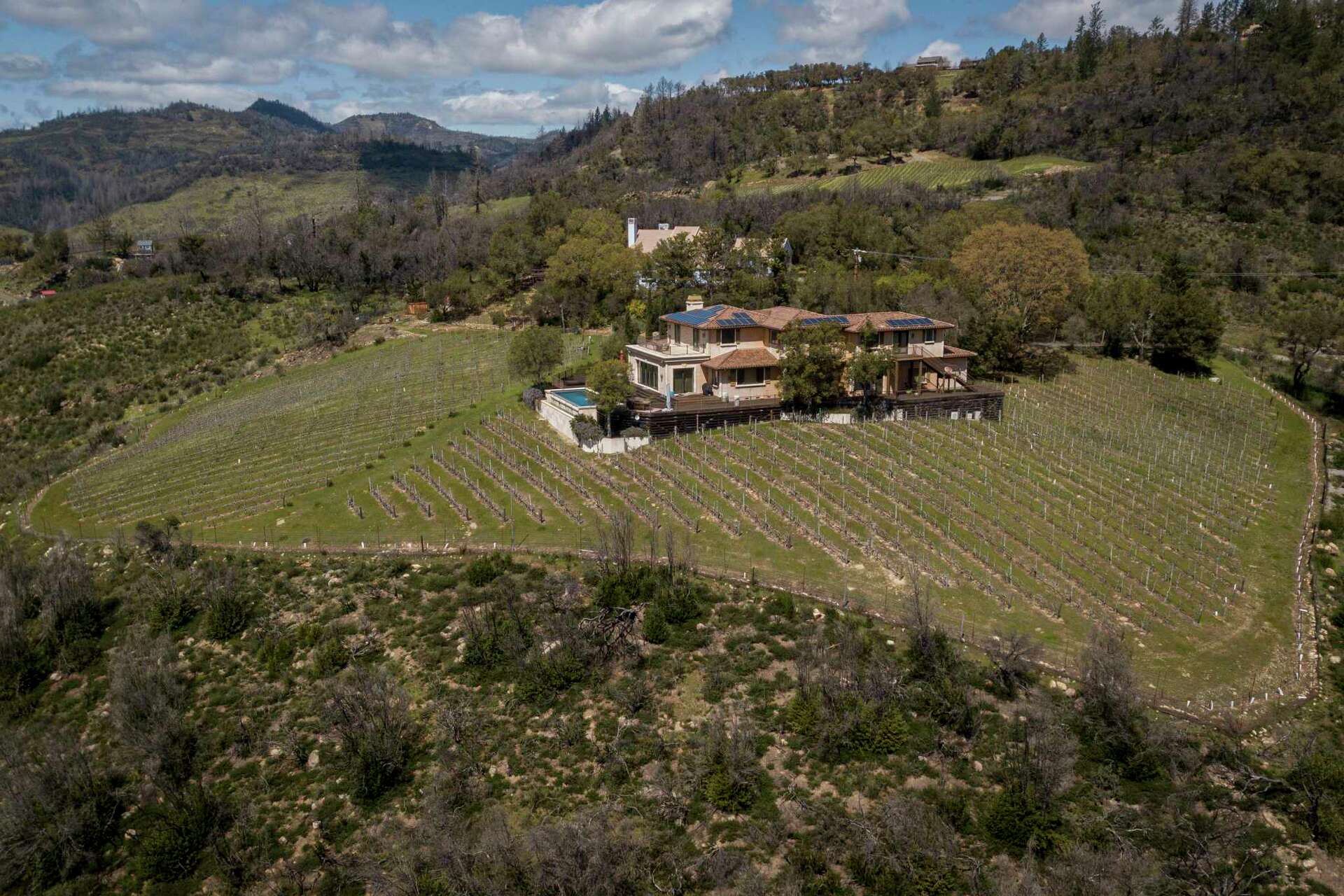 Napa Valley just got a new official wine region: Crystal Springs