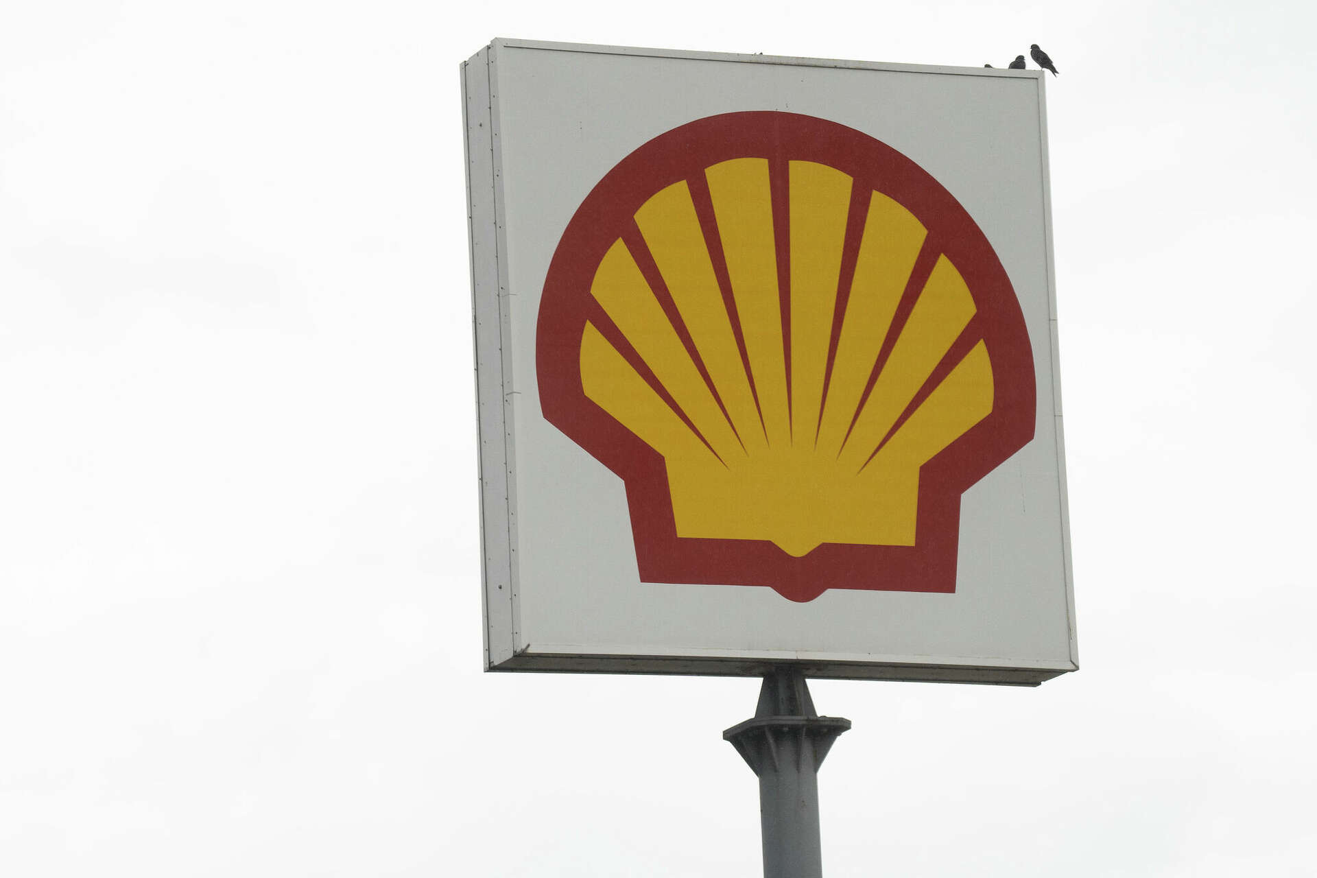 Shell to lay off 100 Houston employees at its electricity retailer