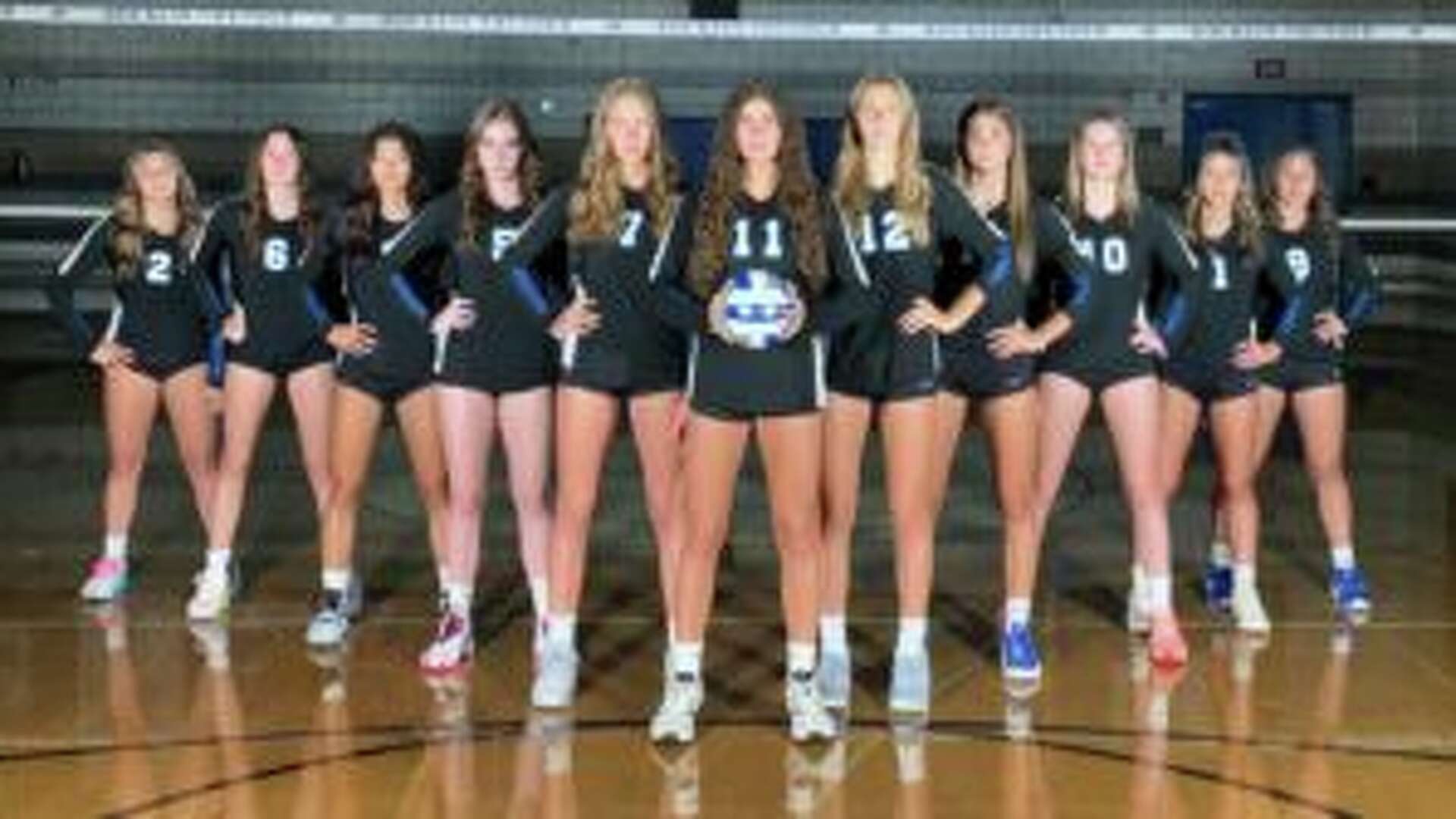 Girls Volleyball Section Rankings