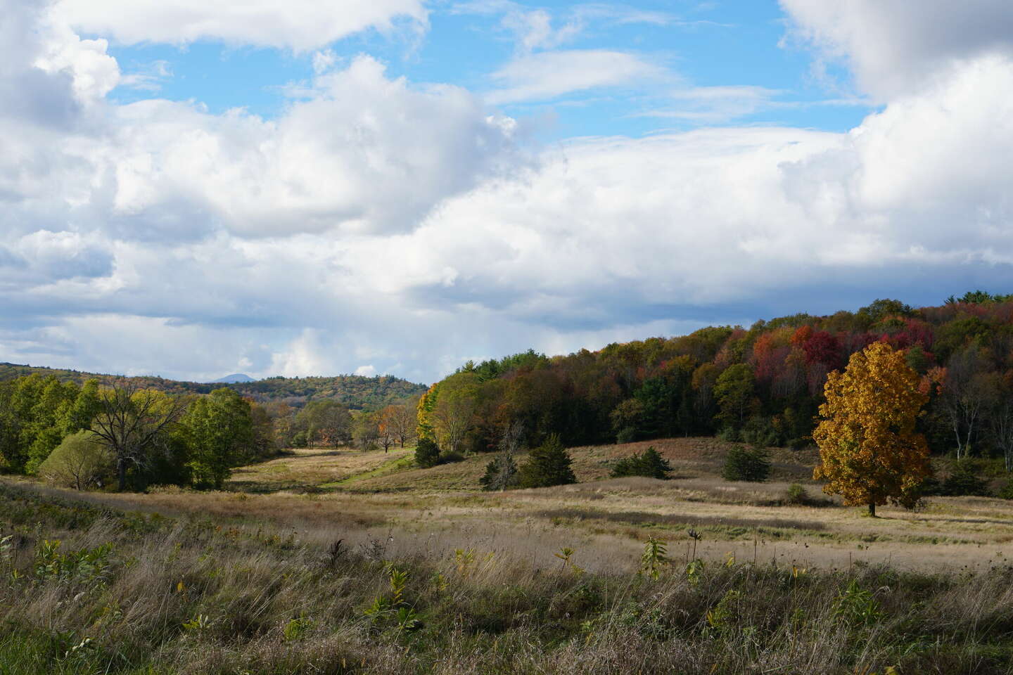 Durst Organization lists Carvel estate for sale in Pine Plains