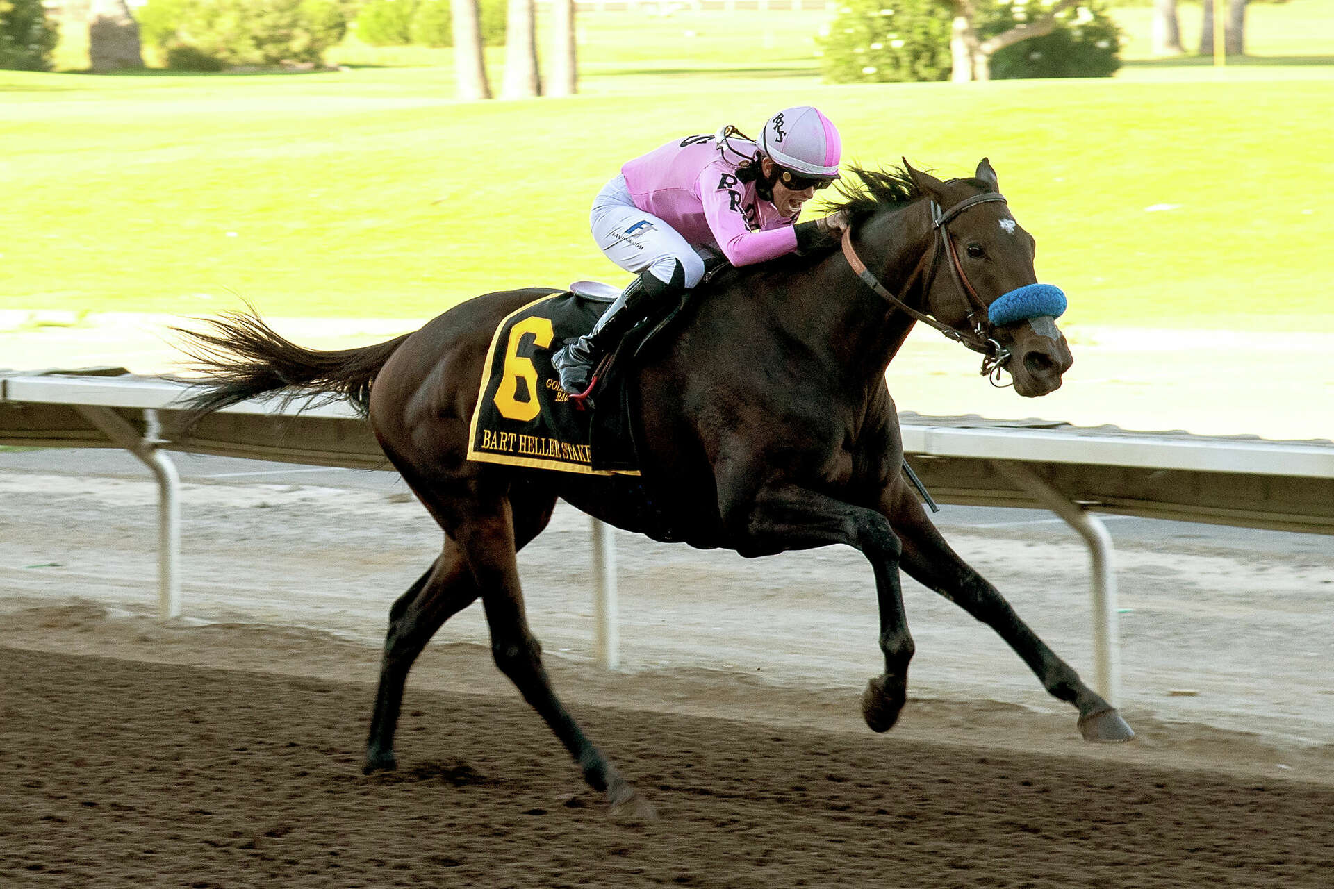 NorCal horse racing opens new era in Pleasanton after GGF closure