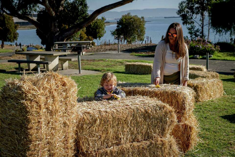 SF’s $68 million park opens to rave reviews: ‘This place is amazing’