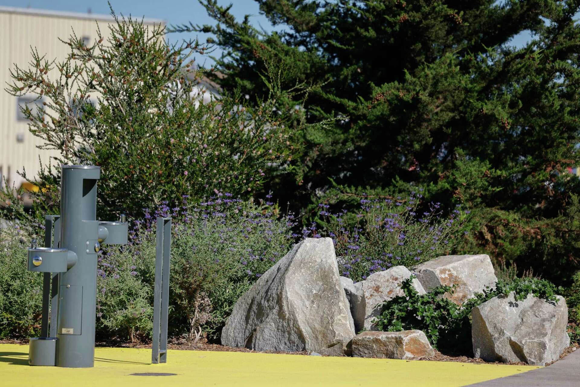 SF's new Bayfront Park next to Chase Center is now open
