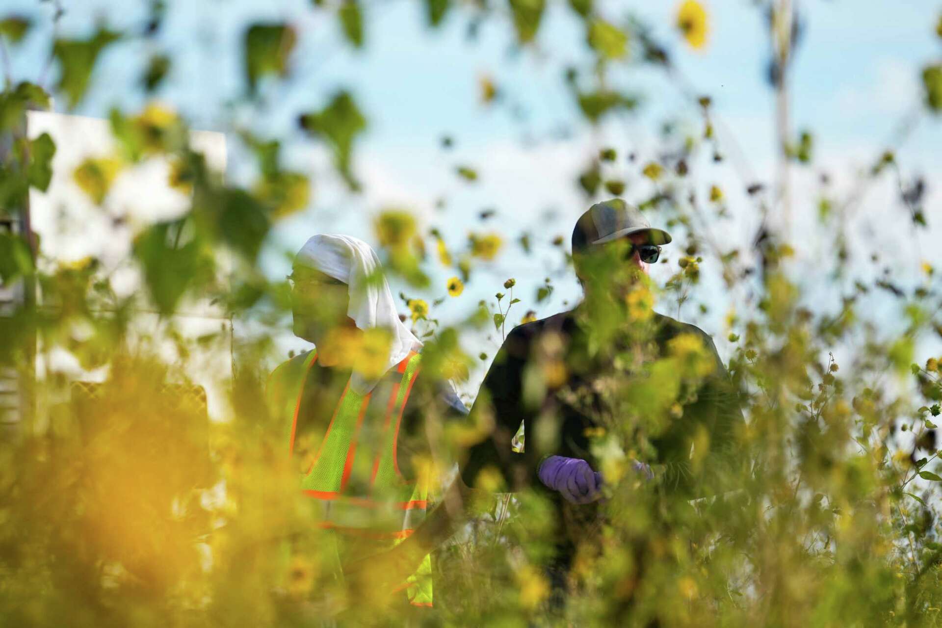 Federal agents investigate toxins near Housing Authority complex
