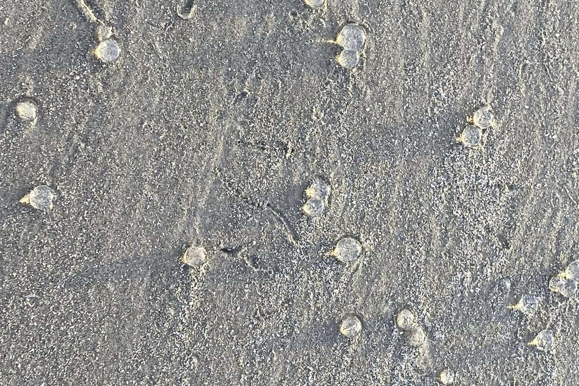 Strange, clear blobs make appearance on Texas beaches