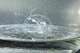 Strange, clear blobs make appearance on Texas beaches