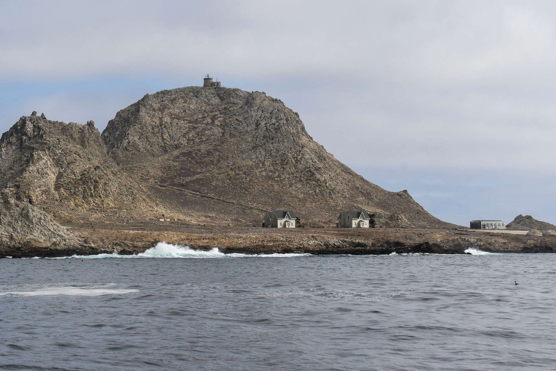 Inside the 'kill zone': A surprise encounter at SF's Farallon Islands