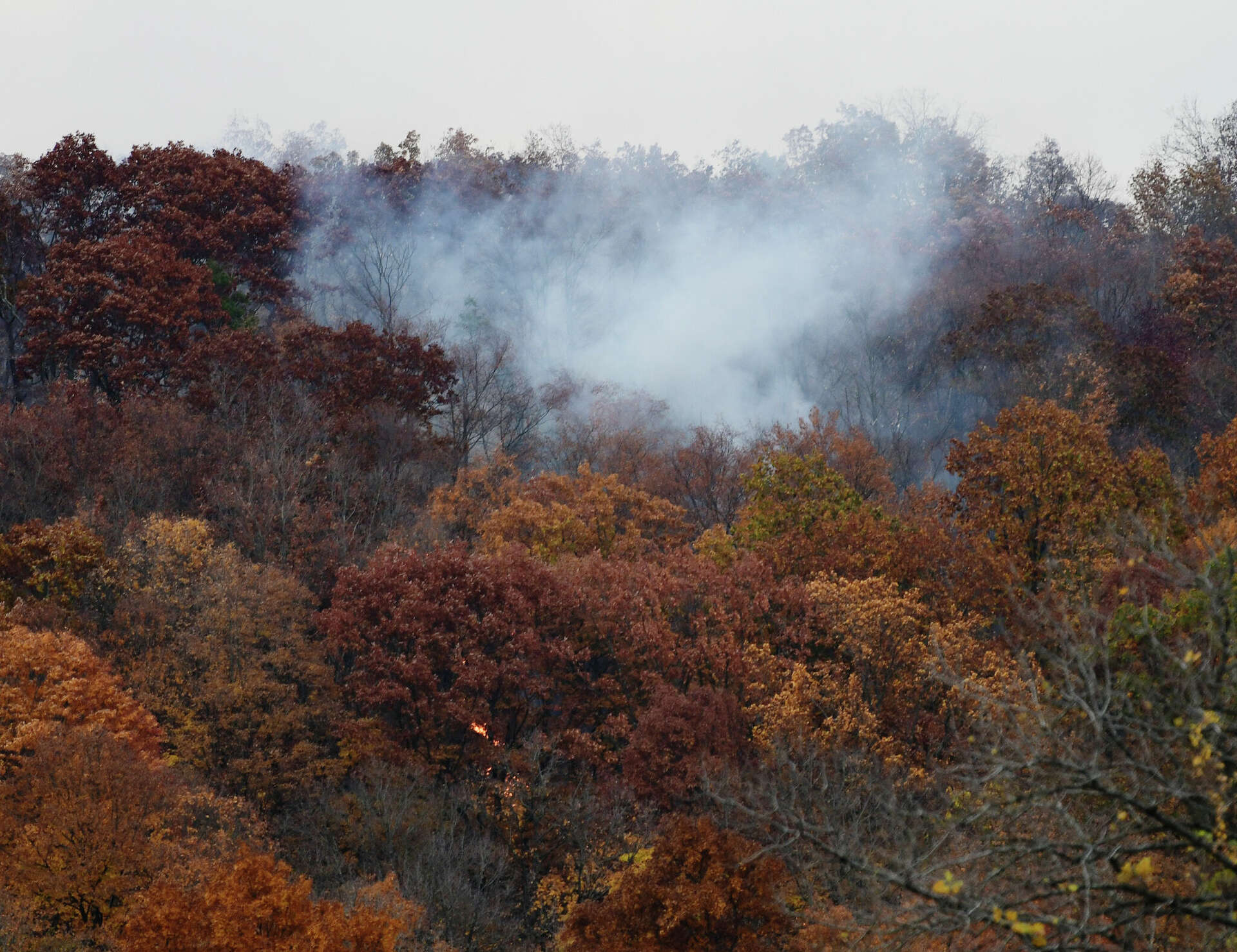 50 Connecticut brush fires monitored as state faces worst drought