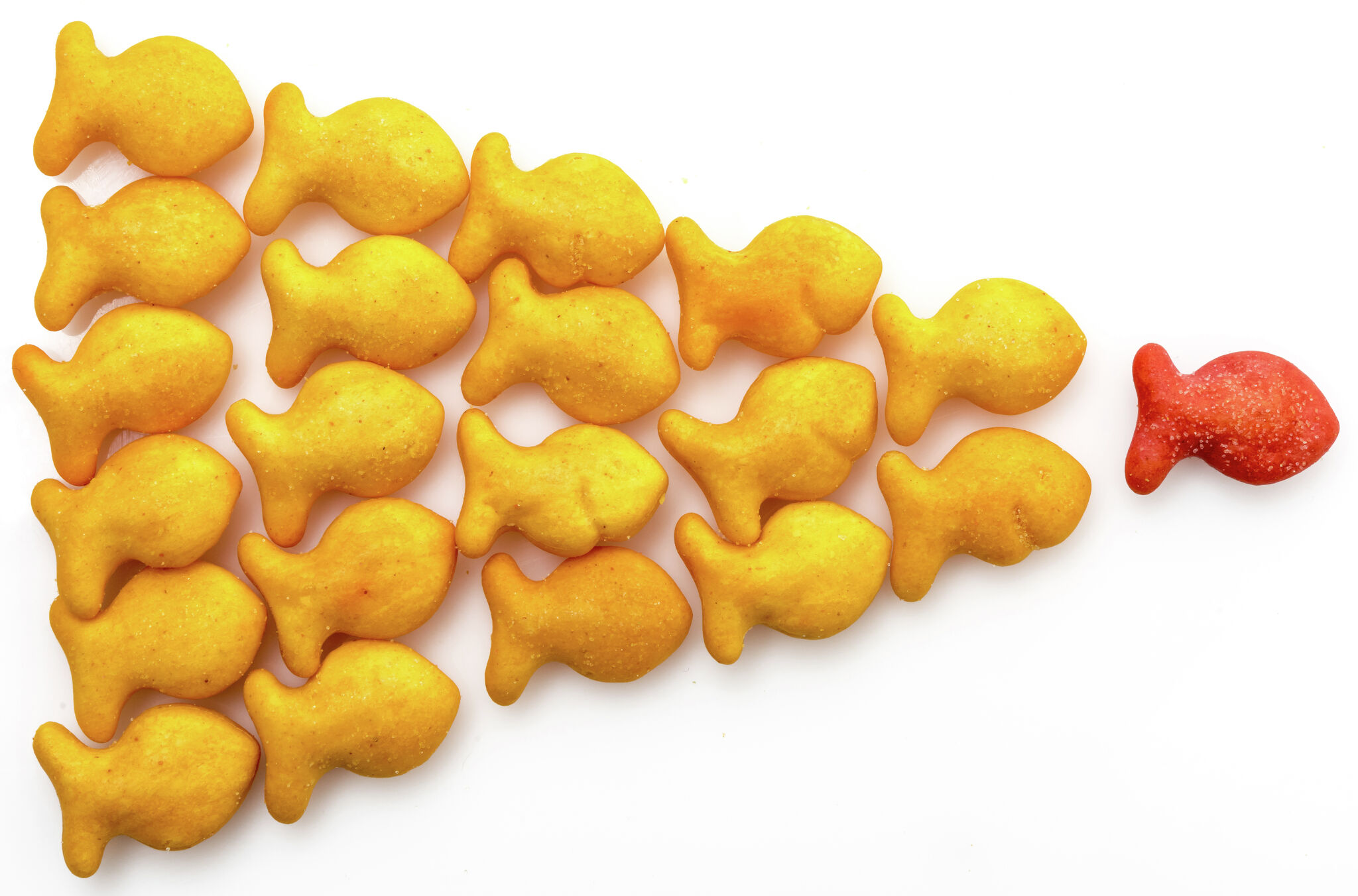 Goldfish snacks rebranded as 'Chilean Sea Bass' for grown-ups