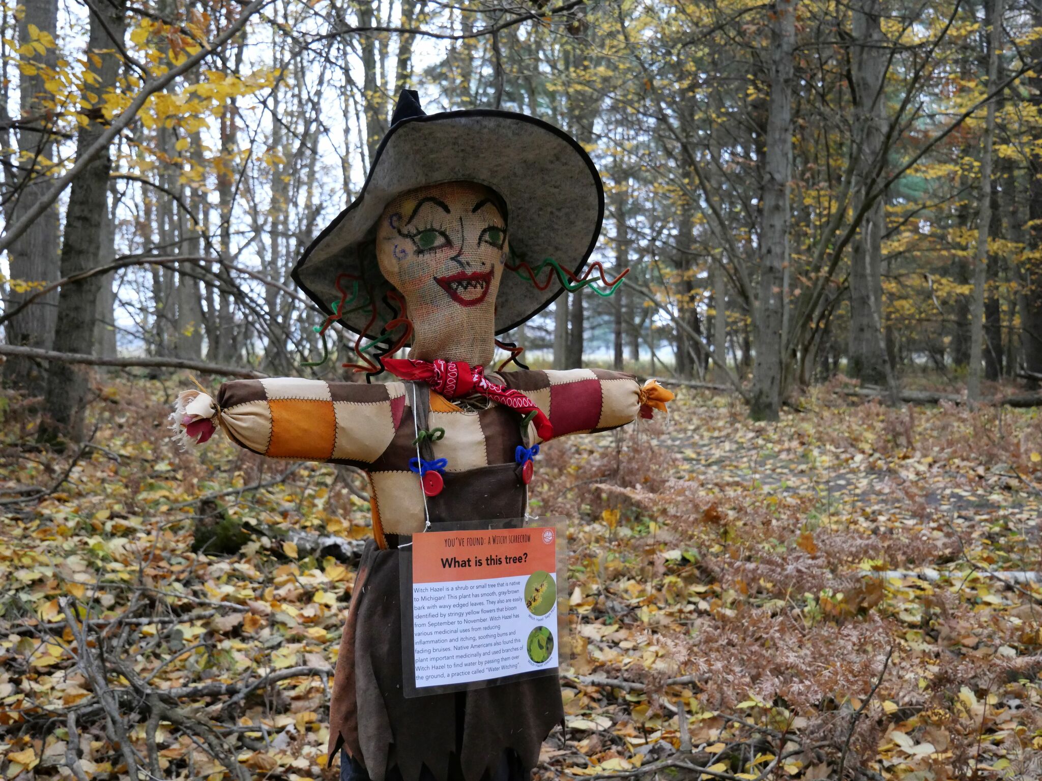 Little Forks Conservancy hosting scarecrow scavenger hunt