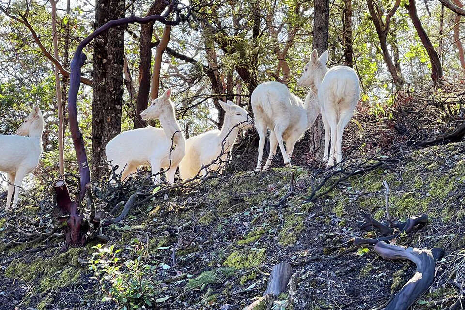 The highest point of California's Highway 101 is slowly crumbling away