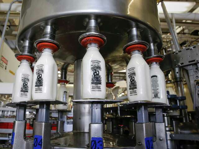 Straus Family Creamery milk is the latest internet craze