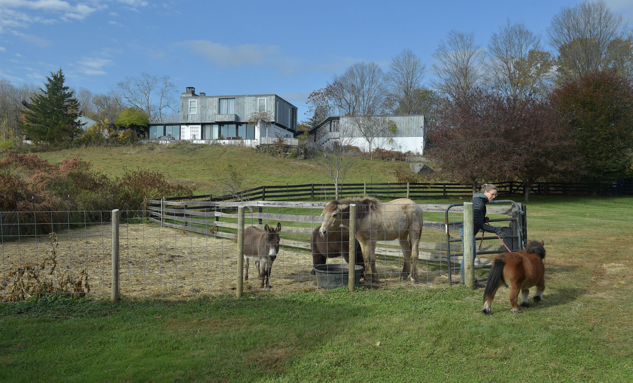 Clock Tower Grill owners embraces farm-to-table lifestyle in CT