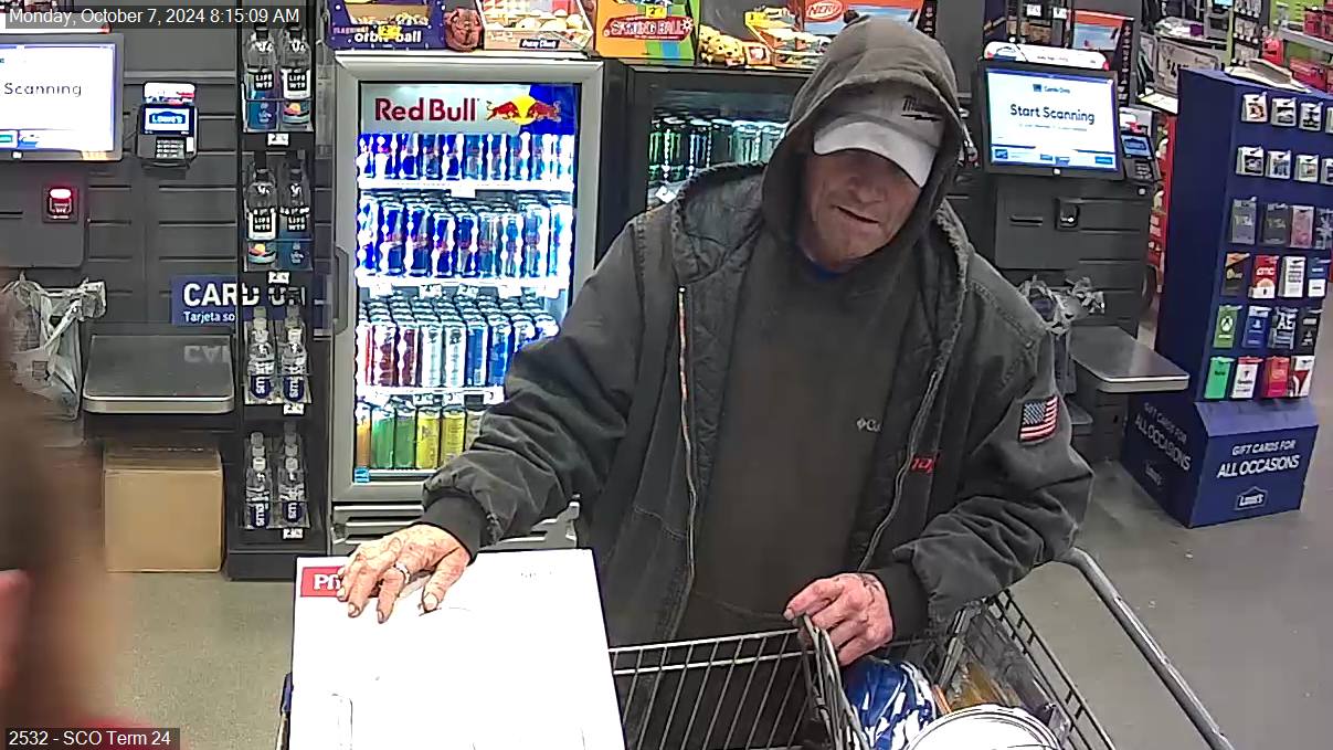 More photos released in Lake County Michigan credit card fraud case
