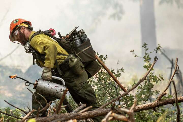 US Forest Service halts prescribed burns in California