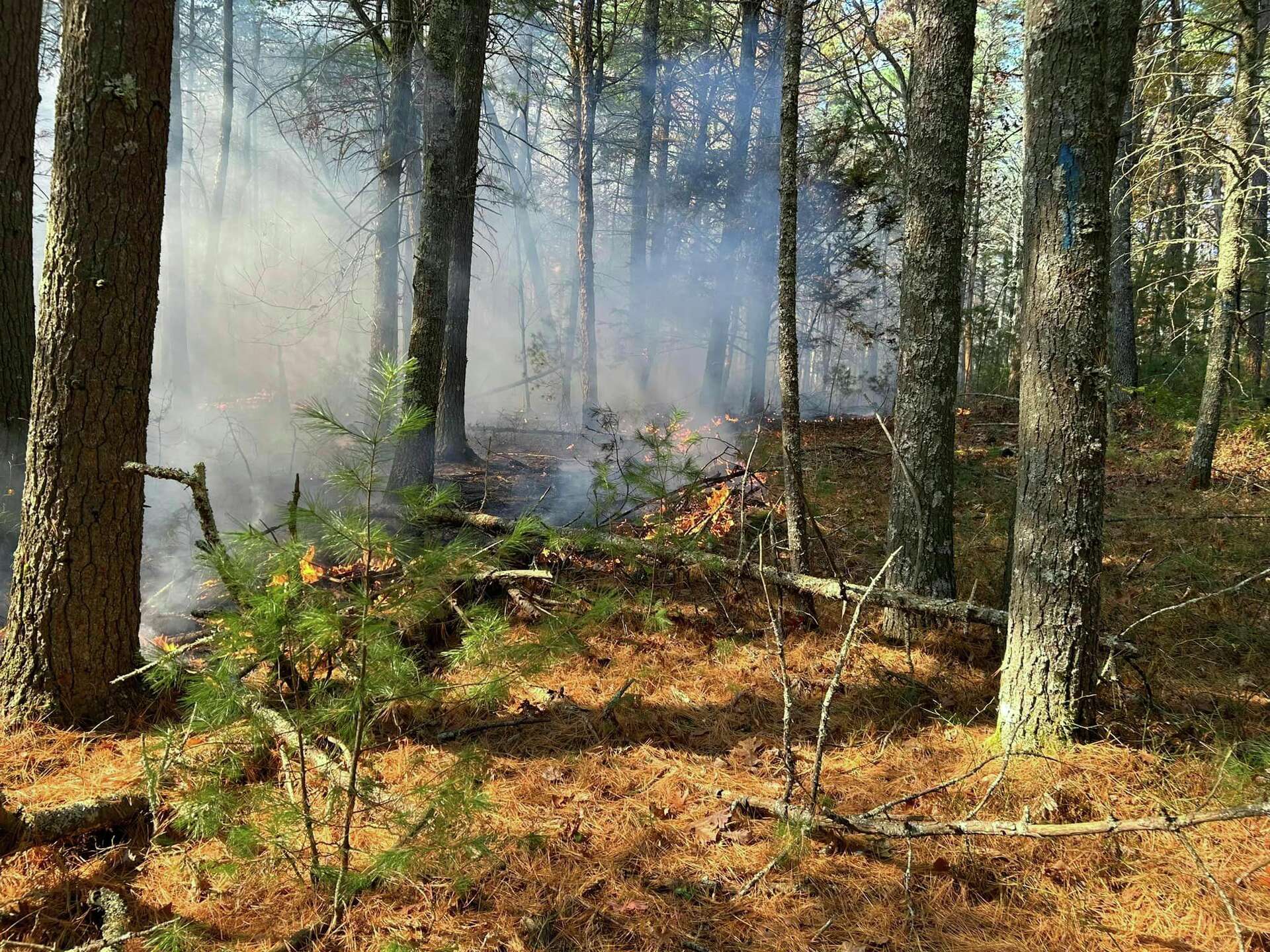 Deadly brush fires cost CT millions amid 'historic' drought: Officials