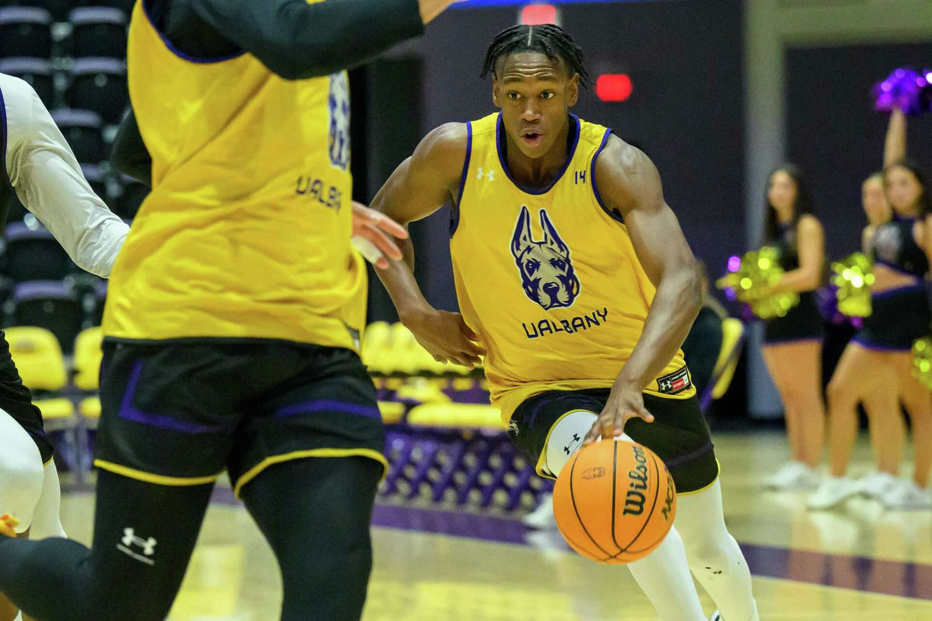 UAlbany Great Danes