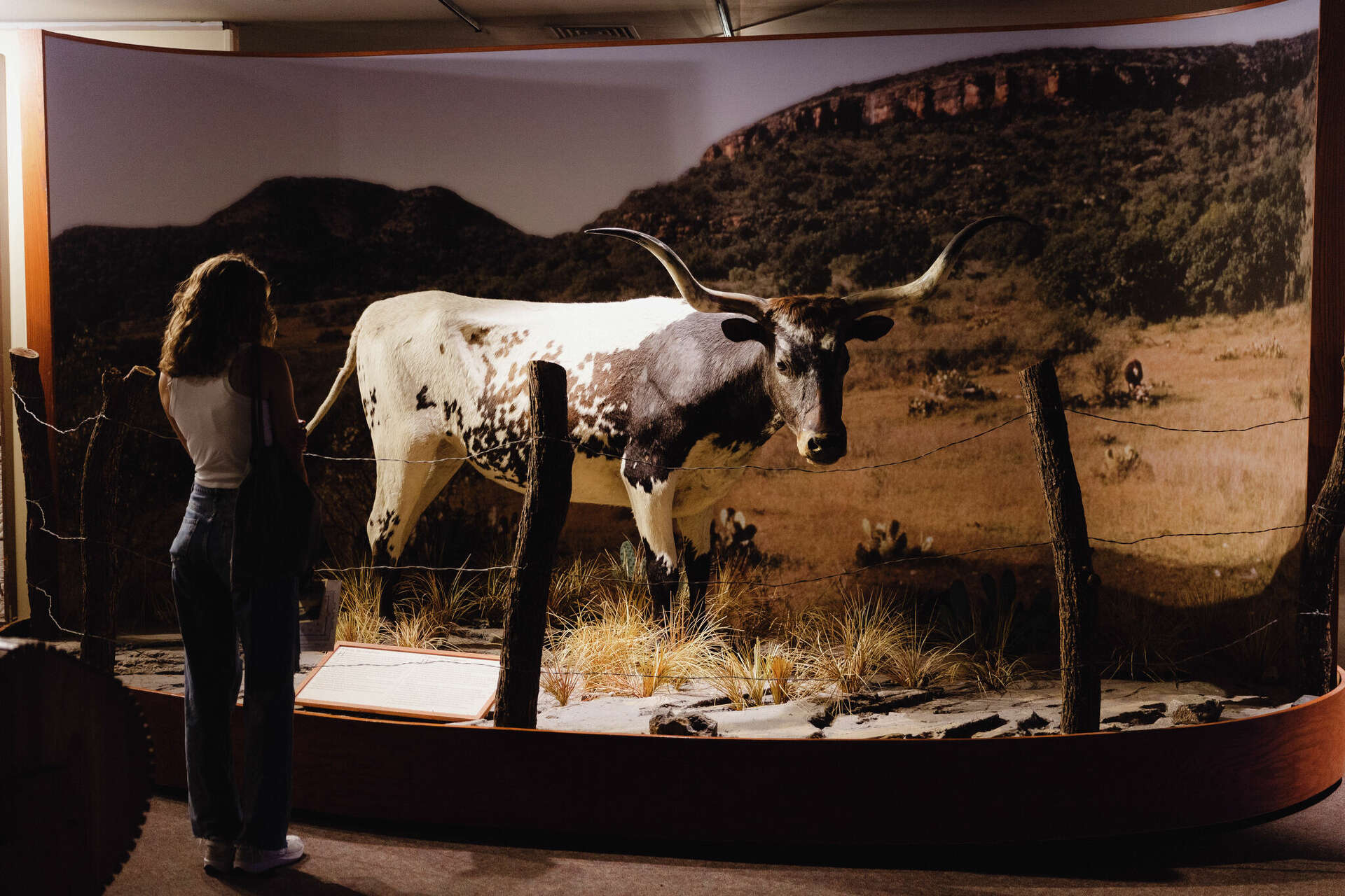 UTSA Institute of Texan Cultures' landmark designation a snag
