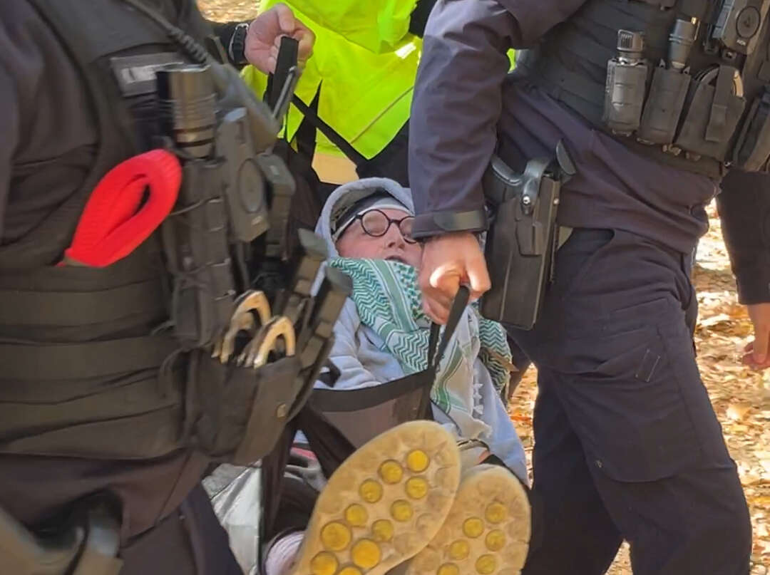 New Haven police arrest seven homelessness activists on the Green