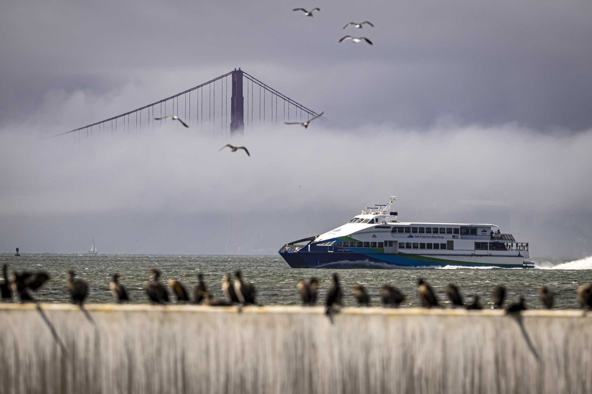 Ferry rides between Richmond and S.F. will be free on Fridays