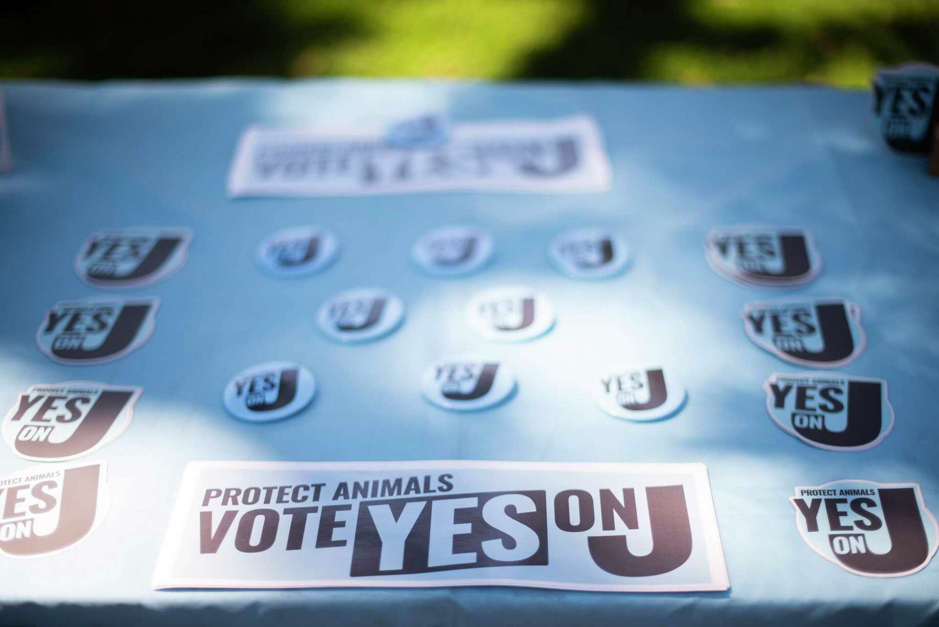 Controversial Sonoma County Measure J losing in victory for big farms