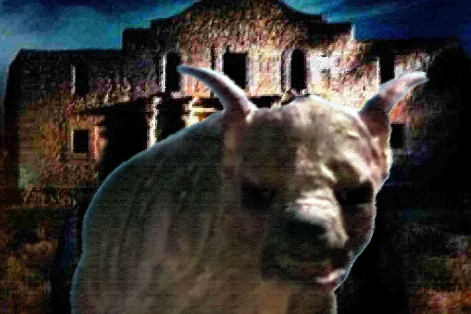 8 campy horror flicks starring legendary creature El Chupacabra